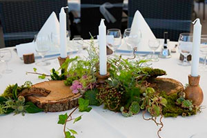 Teltudlejning på Sjælland |Amager Teltudlejning | Kontakt i dag